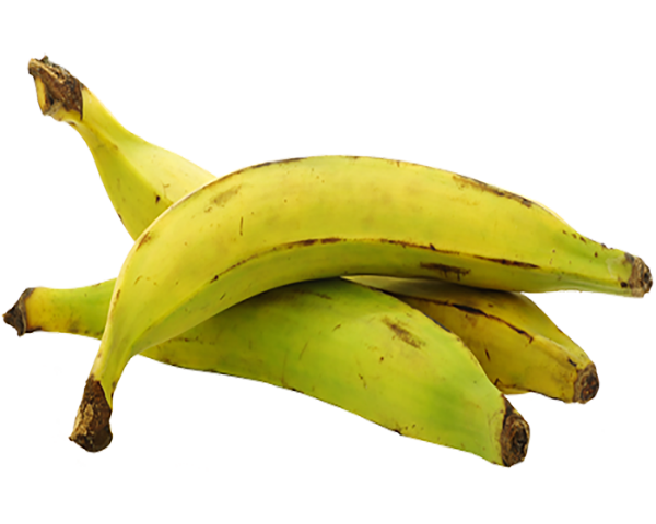 BOUFA - Produits Exotiques